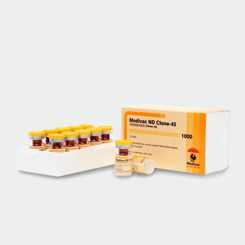 Home [arthavena.com.sg]